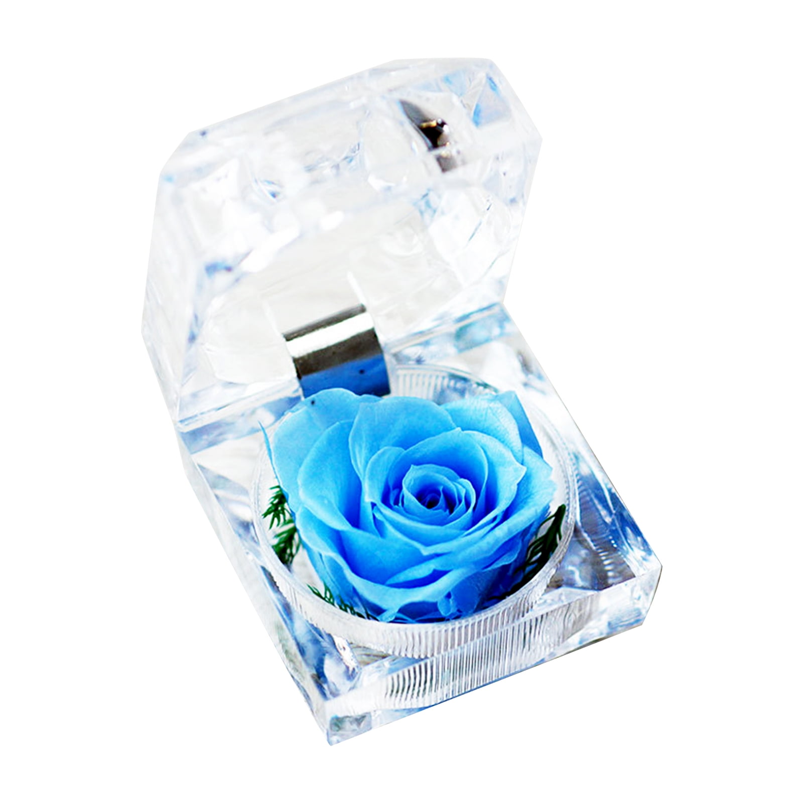 Click here for Amdohai Preserved Real Rose Flower In Clear Box Et... prices