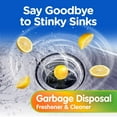 Garbage Disposal Cleaner and Deodorizer, Air Fresheners for Disposal ...