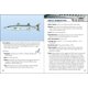 Fish Identification Guides: Saltwater Sport Fish of the Gulf Field ...