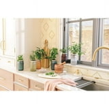 Modern Sprout Basil Grow Kit 1 pk - Walmart.com