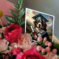 3drose, Puppy Sleeping a Heart-shaped Box, 6 Greeting Cards with ...