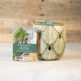 Sea Salt and Sage Scented Wax Melts, Better Homes & Gardens, 5 oz ...