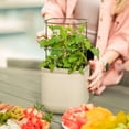 Vego Garden 2 Pack Self-Watering Mini Planter Box with Trellis Cream ...