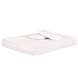 Permafresh Bed Bug and Dust Mite Control Water-Resistant Polypropylene ...