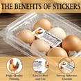 1 Set 12 Style Adhesive Label Waterproof PET Stickers Set Rectangle ...