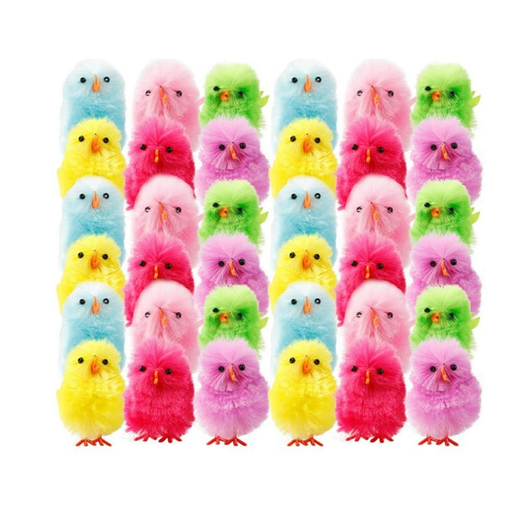 Colored Baby Chicks