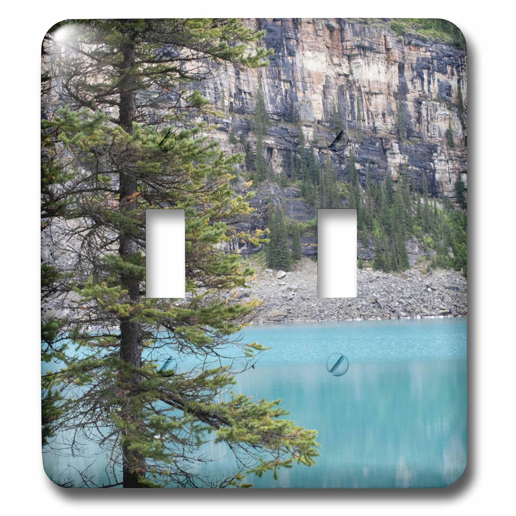 3dRose Pine tree, Moraine Lake, Banff National Park, Canada-CN02 ...