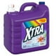 XTRA Tropical Passion, 260 Loads Liquid Laundry Detergent, 312 Fl oz ...