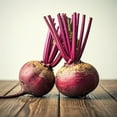 CZ Grain 50 Mammoth Red Mangel Beet Seeds, Big Bodacious Beets ...
