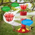 Bomutovy 2 Pack Ant Moat for Hummingbird Feeders 6 oz Ant Guard for ...