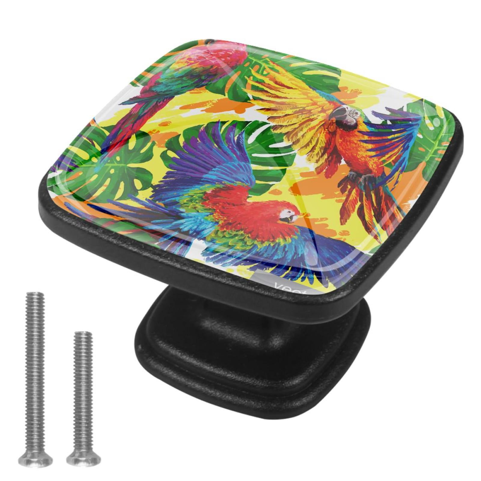 4 Pcs Cabinet Handle Drawer Pulls Parrot Knobs with Screws Square ...