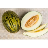 Seedville 30 Crenshaw Melon Fruit Cucumis Melo Seeds - Walmart.com