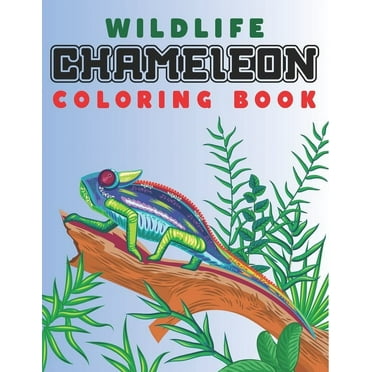 Forever Inspired Coloring Books: Forever Inspired Coloring Book: Angela ...