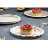 Stack Man Compostable Oval Paper Plates [10 Inch] - [50-Pack] Heavy ...