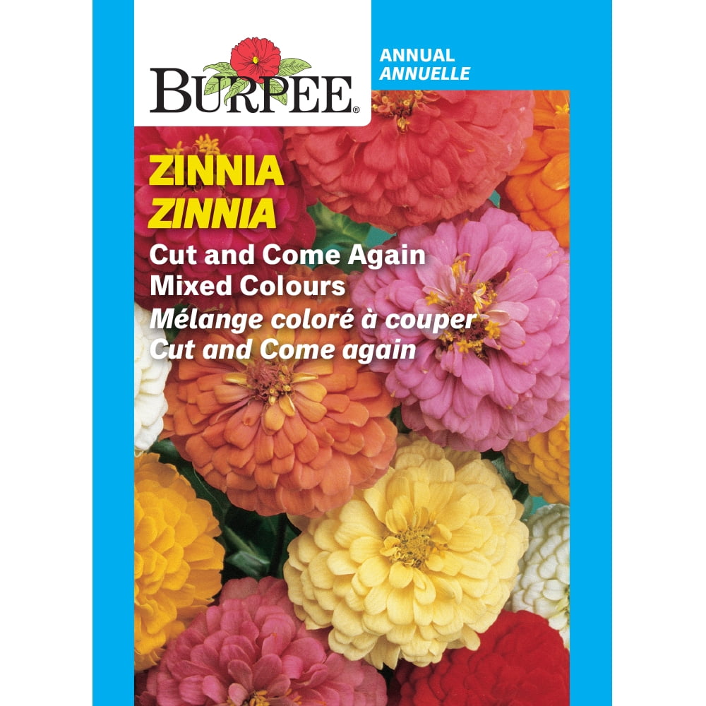 Click here for Burpee Canada Burpee Cut And Come Again Mixed Colo... prices