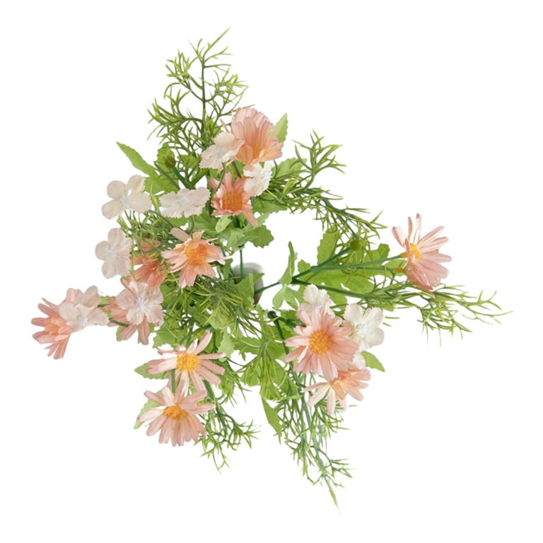 Pictures Of Flowers That Are Not Colored | Best Flower Site