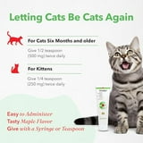 Vetoquinol Viralys L-Lysine Immune System Supplement Gel for Cats ...