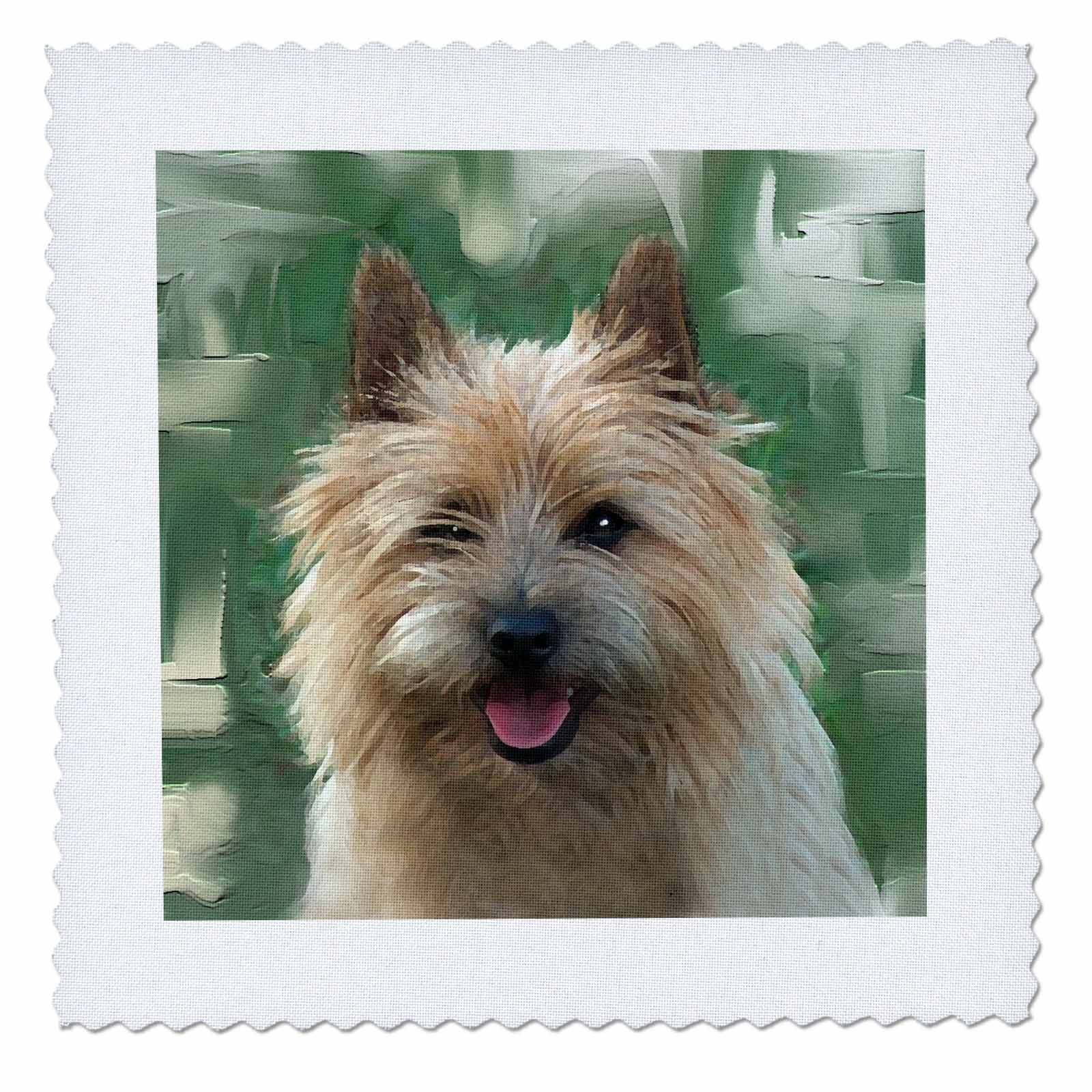 3dRose Cairn Terrier - Quilt Square, 10 by 10-inch - Walmart.com