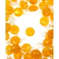 SweetGourmet Bulk Sugar-Free Butterscotch Buttons Hard Candy, 3 Pounds ...