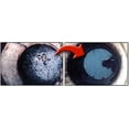 BIO-112 Grease Trap Cleaner Grease Trap Treatment Food Safe & Grease ...