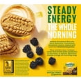 belVita Toasted Coconut Breakfast Biscuits, 5 Packs (4 Biscuits Per ...