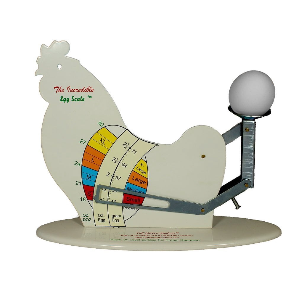 The Incredible Egg Scale - Walmart.com - Walmart.com