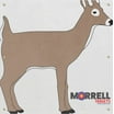 Morrell Whitetail Deer I.B.O/NASP Polypropylene Archery Target Face ...