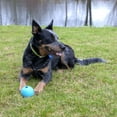 Chew King by Mammoth 4” Fetch Balls Dog Toy, Natural Rubber, X-Large, 2 ...