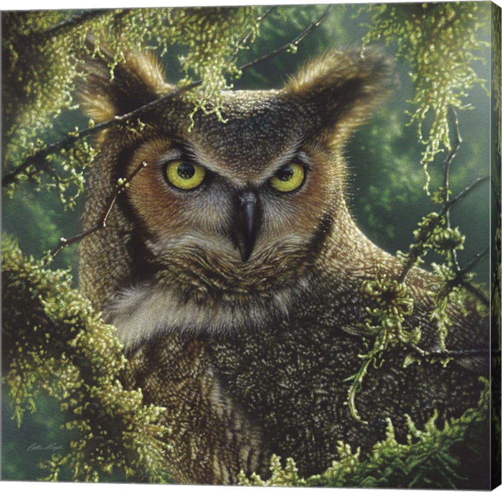Great Horned Owl - Watching and Waiting by Collin Bogle, Canvas Wall ...