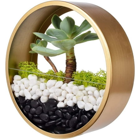 Round Wall Planter,Wall Plants Holder Metal Terrarium Air Plants Vases ...