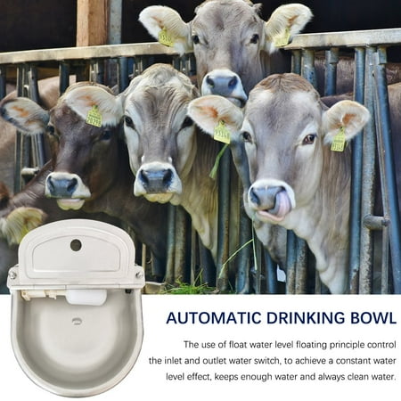 Automatic Cow Drinking Water Bowl Dispenser Stainless Steel Farm ...