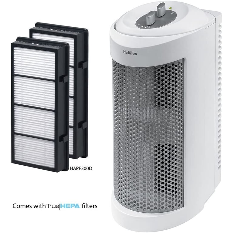 Mini Air Purifier Holmes