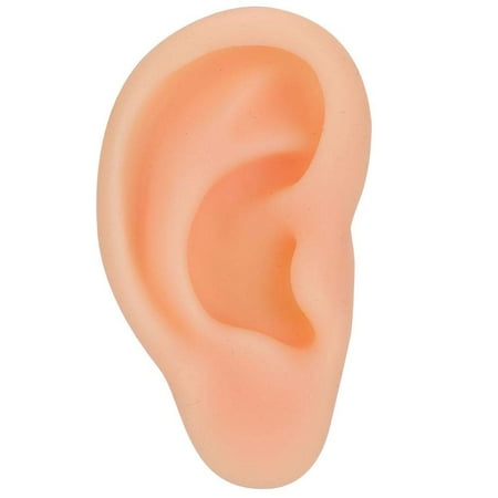 LUO Ear Model,Professional Soft Silicone Left Ear Model Fake Ear ...