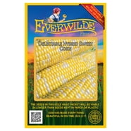 Jubilee Hybrid Corn Garden Seeds (Treated) - 1 Lb. - Non-GMO Vegetable ...