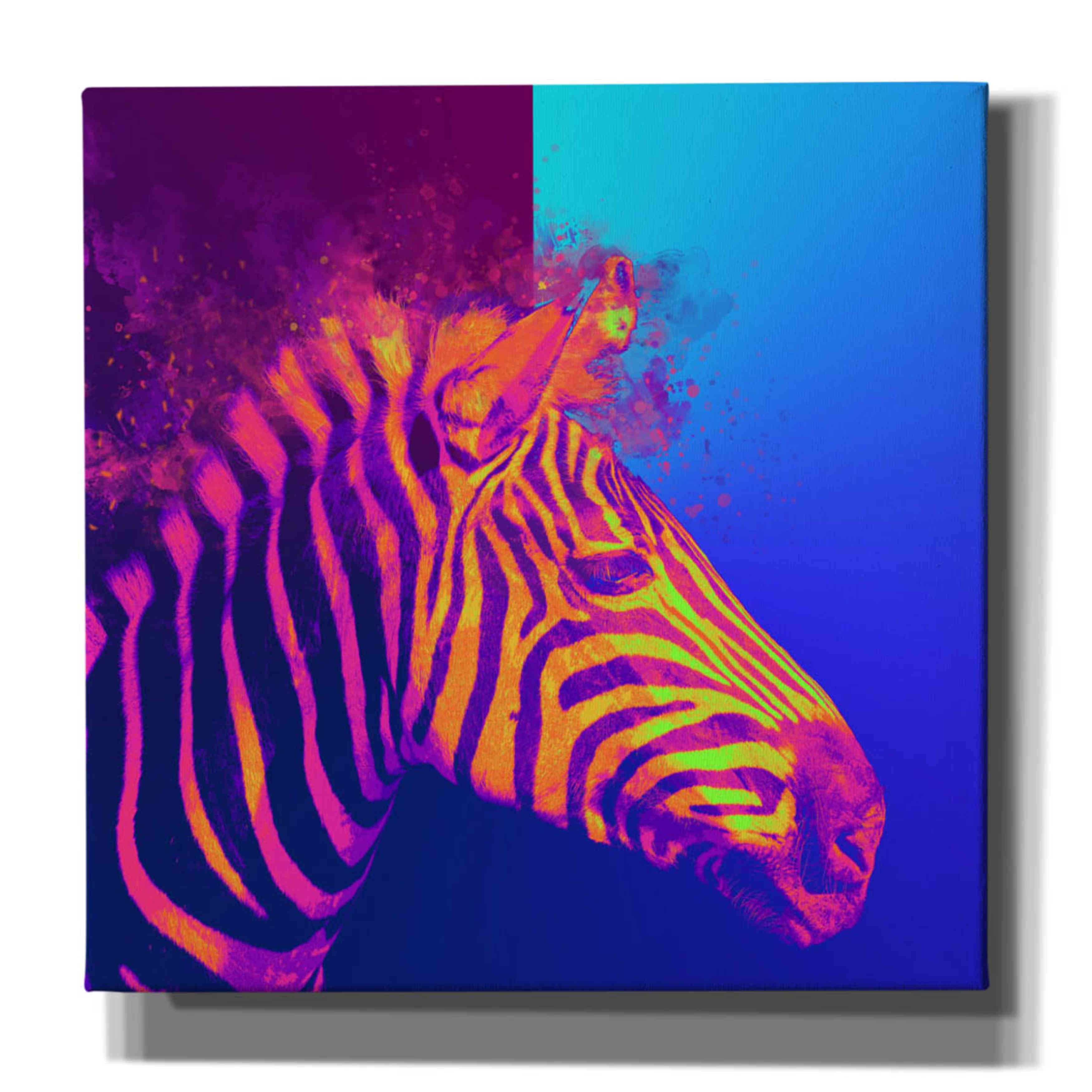 Epic Graffiti 'Zebra Crush,' Canvas Wall Art, 12"x12" - Walmart.com