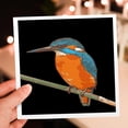 3drose, Cartoon Style Kingfisher Black Outline Art, 6 Greeting Cards ...