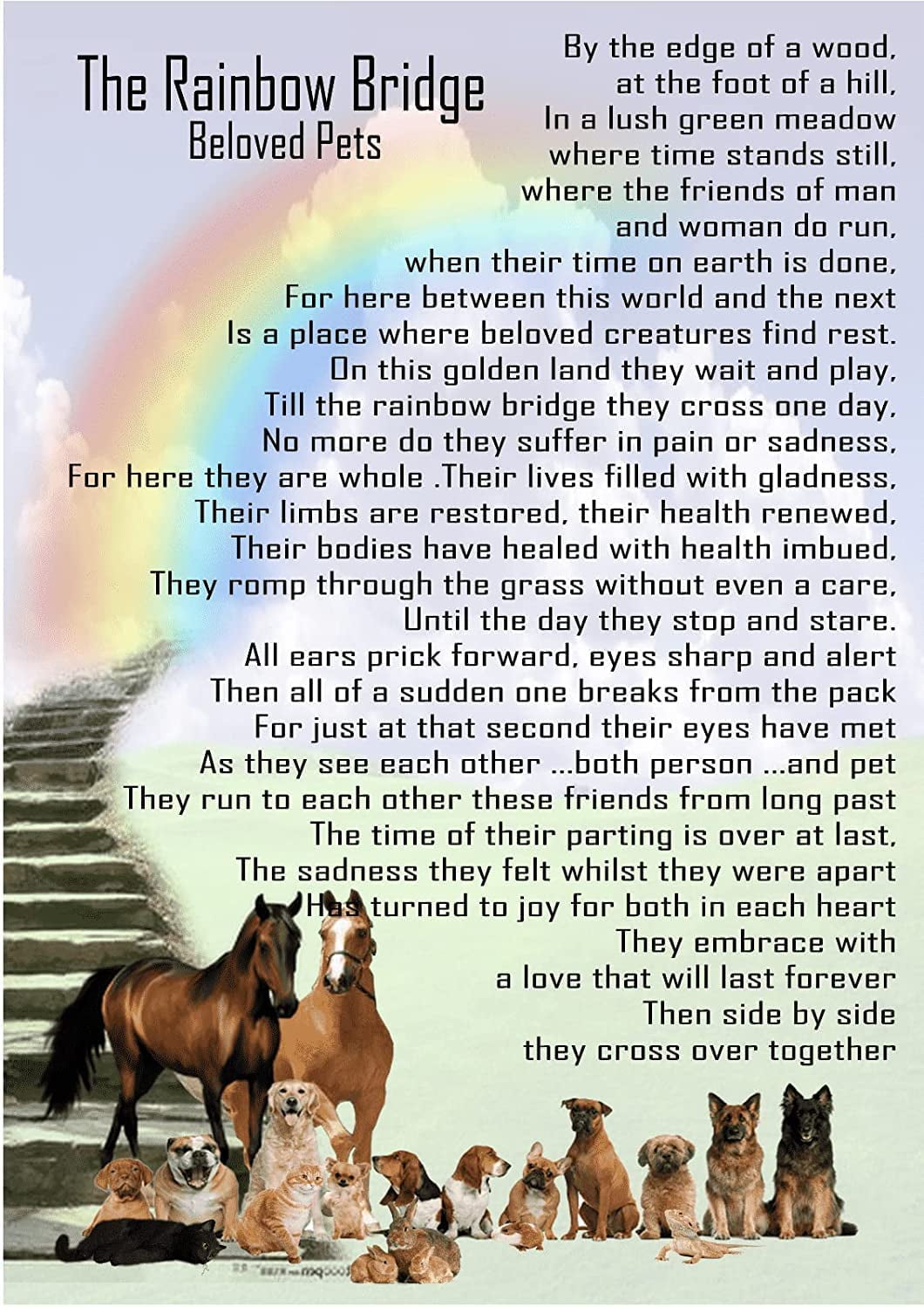 Retro Metal Tin Sign Vintage The Rainbow Bridge Beloved Pets Poster ...