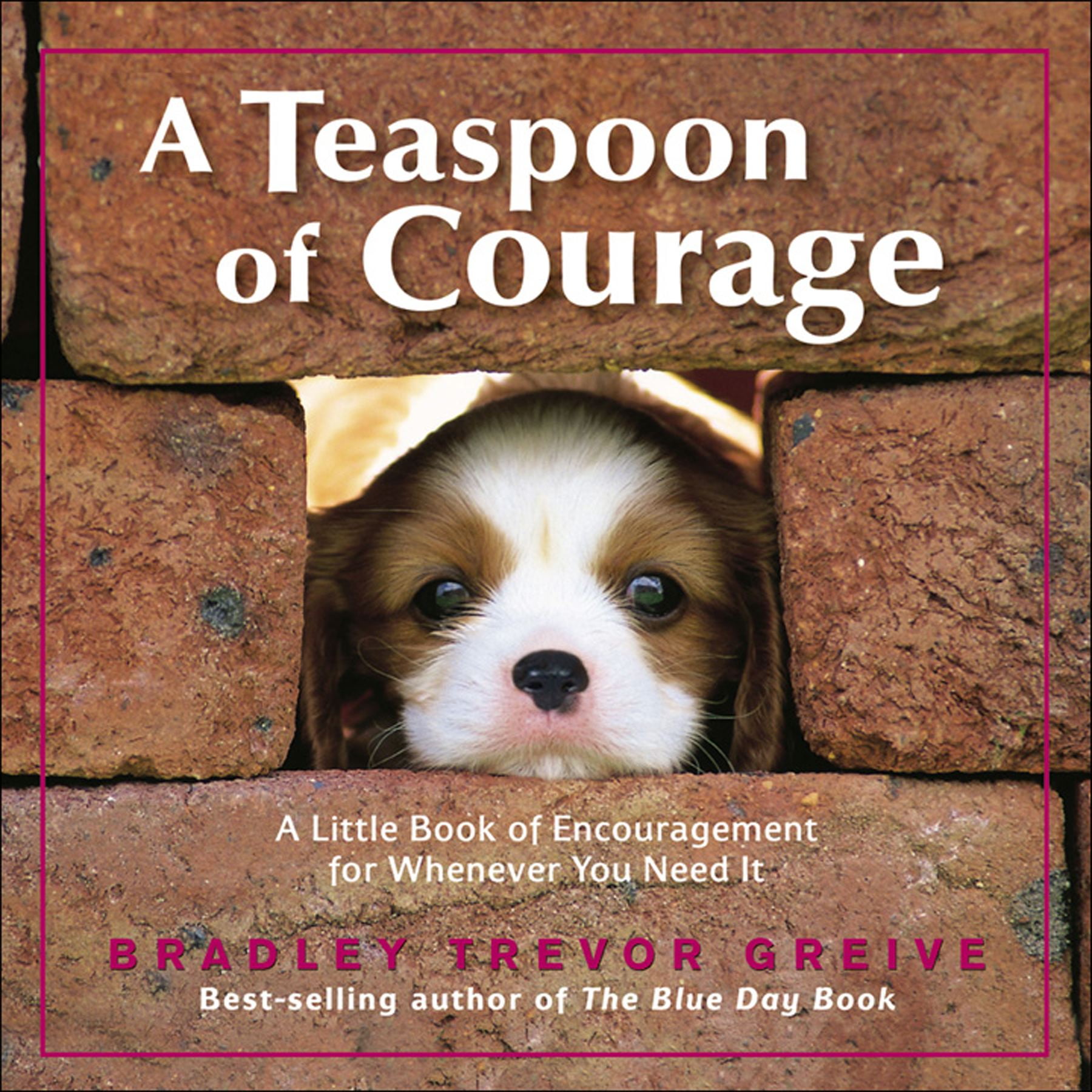 A Teaspoon of Courage : A Little Book of Encouragement for Whenever You ...