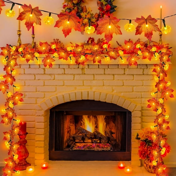 Fanhua-[Timer] Fall Thanksgiving Turkey Lights Decorations, 10FT 30LED ...