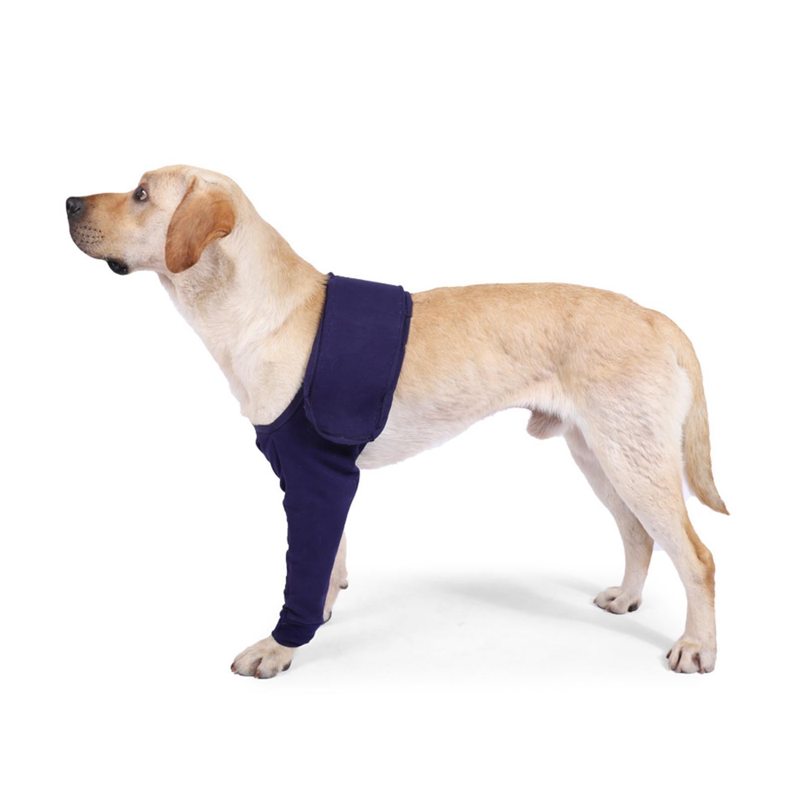 Pengpaig Anti Lick Sleeve For Dogs After Leg Surgery Anti Lick Sleeve pengpaig-anti-lick-sleeve-for-dogs-after-leg-surgery-anti-lick-sleeve