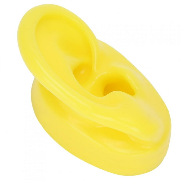 Ear Model,Silicone Ear Model Simulation Soft Ear Model Human Ear Model ...
