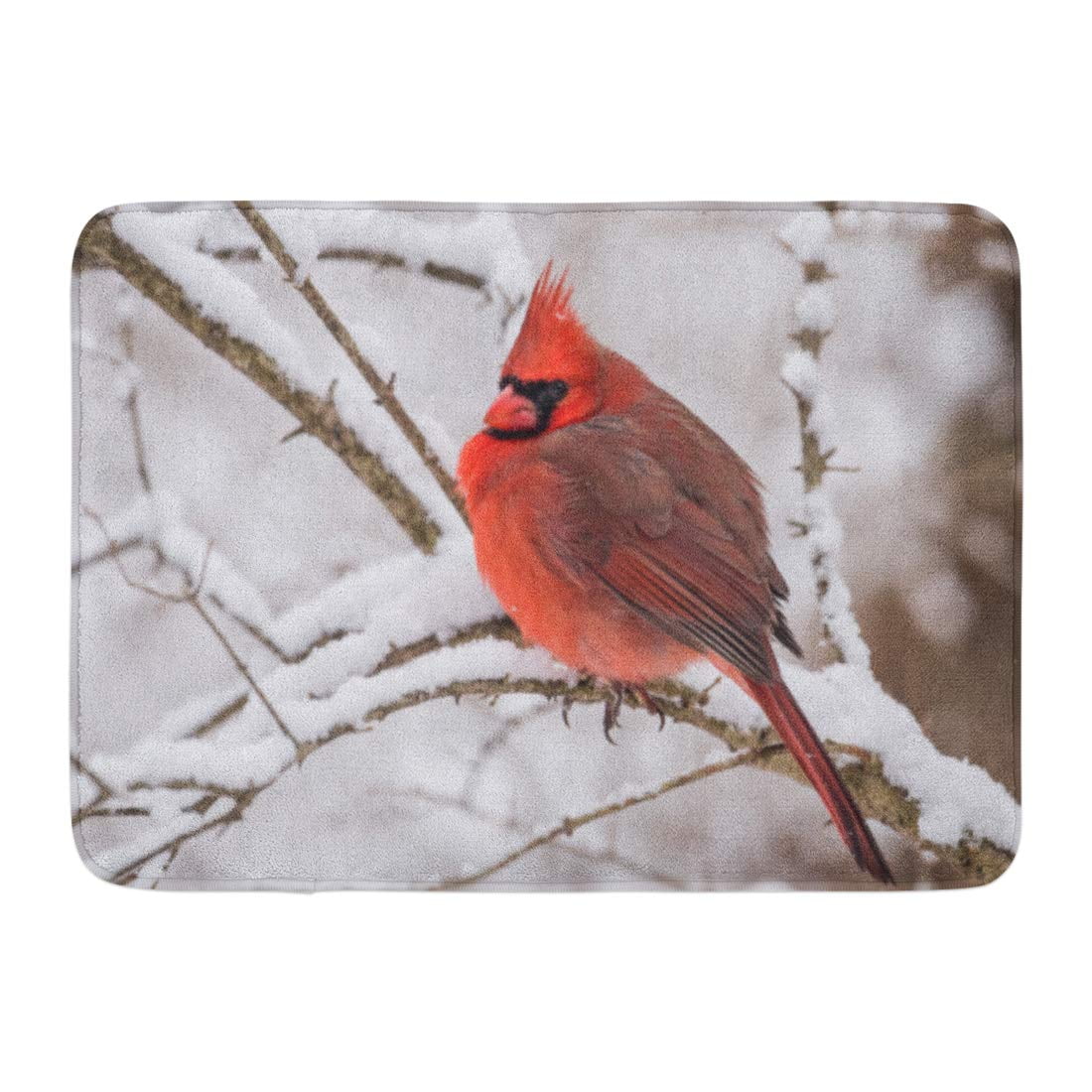GODPOK Christmas Red Animal Northern Cardinal in The Snow White Bird ...
