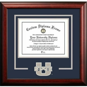 Free Shipping! Florida State University 11" x 14" Spirit Diploma Frame ...