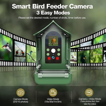 Birddock Digital Outdoor Hummingbird Feeder with AI Camera and SD Card ...
