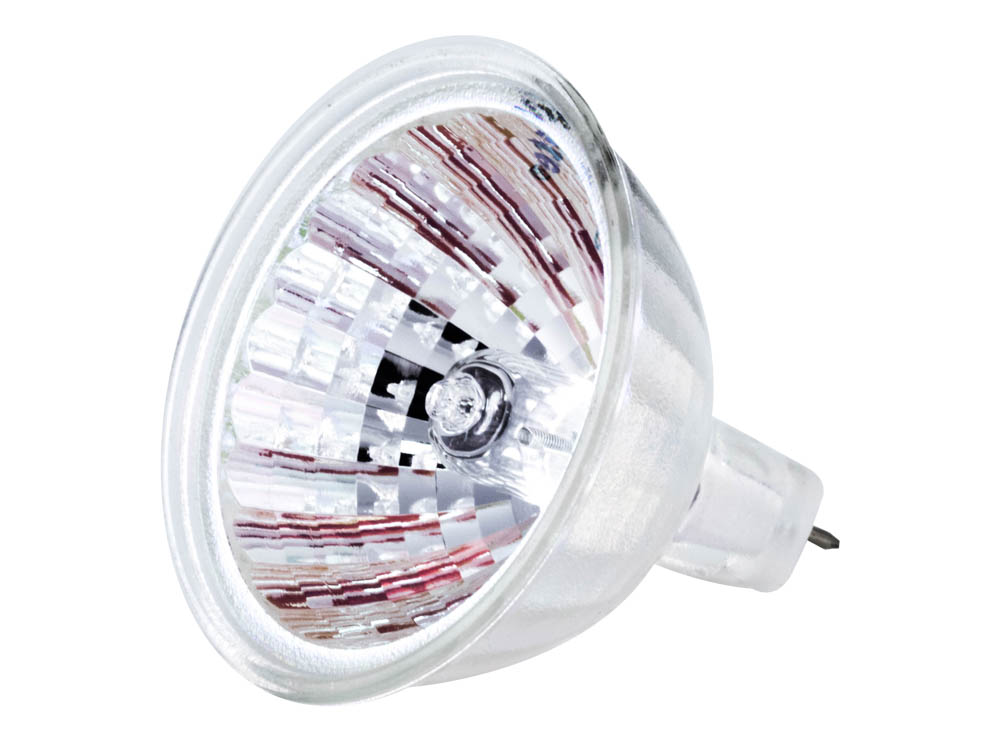 Plusrite Halogen Incandescent Light Bulb | Shelly Lighting