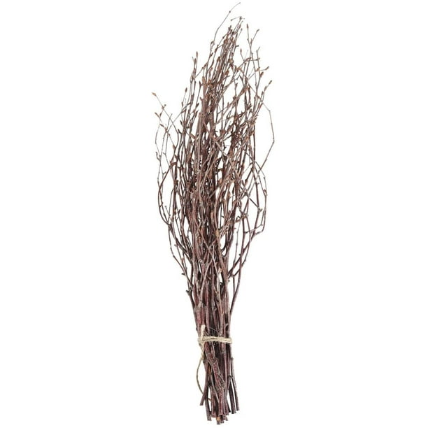 10Pcs Birch Branches Twigs centerpieces Decorative Branches for Craft ...