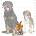 Mighty No Stuff Medium Bone Dog Toy, Orange, Squeaky Plastic Core ...