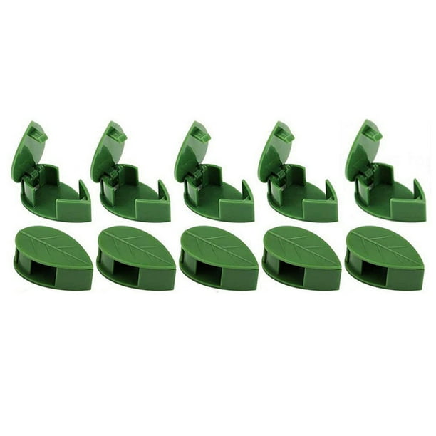 Dalazy Vine Plant Clips Leaf Rattan Climbing Wall Garden Flower ...
