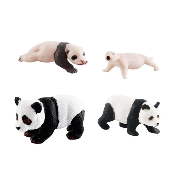 Simulation Life Cycle Panda Model 4 Stages of Panda Science Toy Life ... Simulation Life Cycle Panda Model 4 Stages of Panda Science Toy Life ...