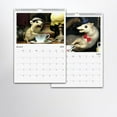 Bad Taxidermy Calendar 2026 – Funny 2026 Wall Calendar, 12 Month Unique ...